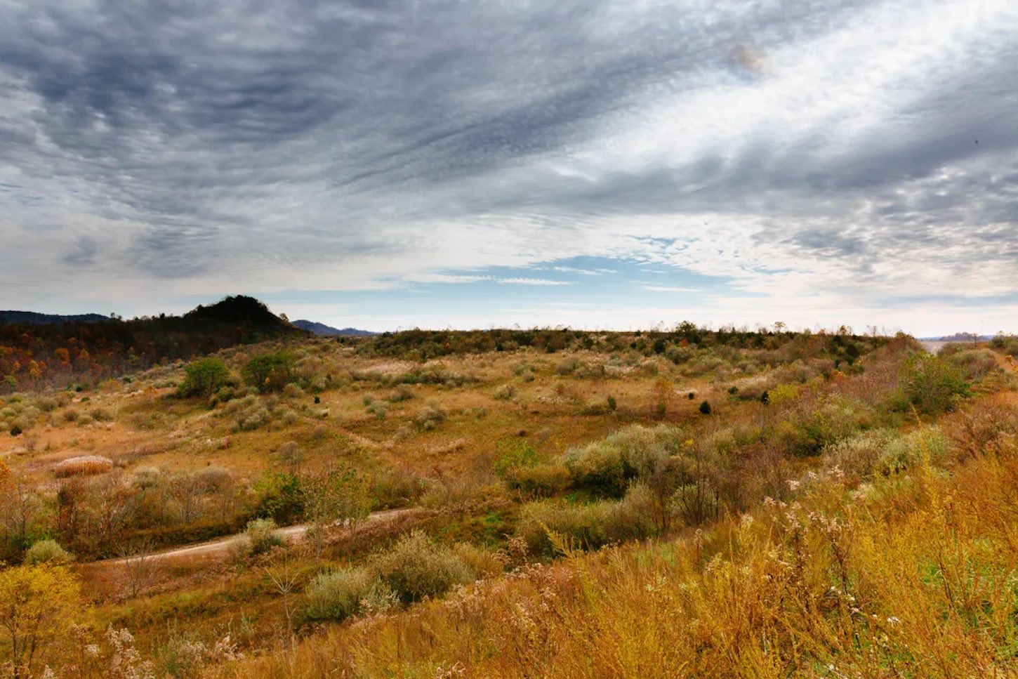 Edelen Renewables Home - Edelen Renewables